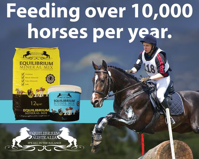 Equilibrium supplements are suitable for all horses of all ages