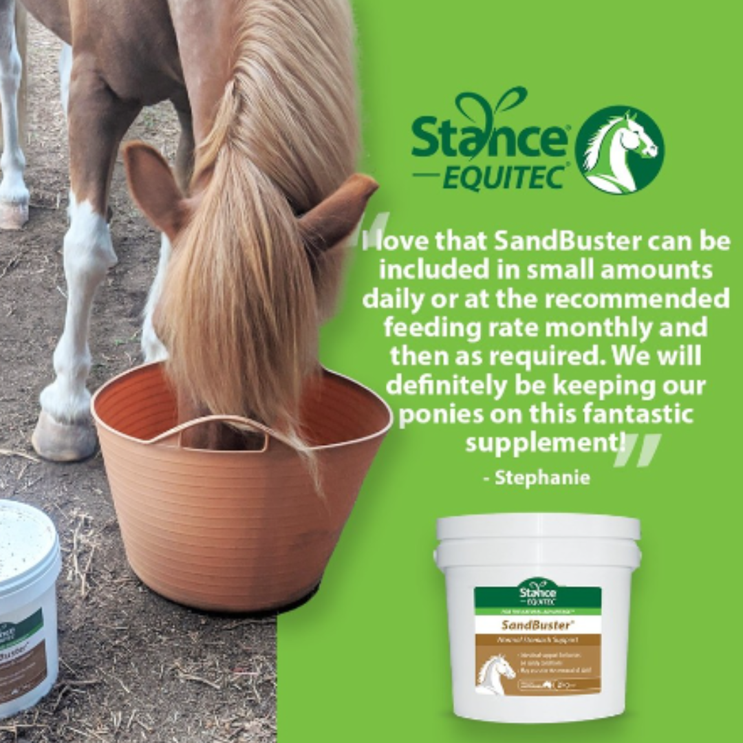 How do you find out if your horse is at risk of sand impaction colic?