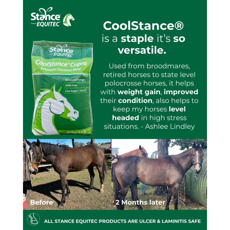 CoolStance Premium Copra Meal | Stance Equitec
