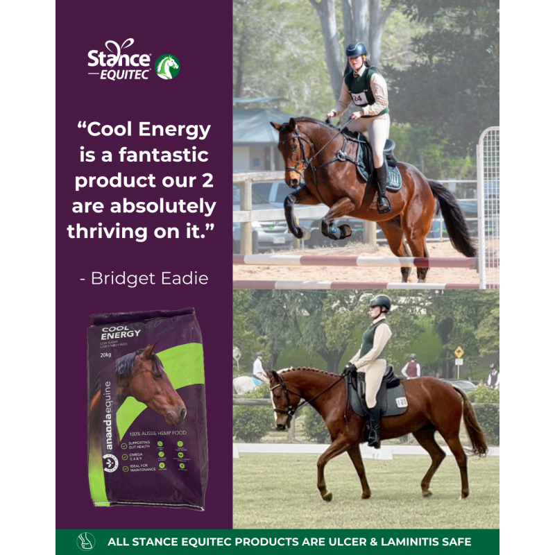 Cool Energy Complete Hemp Feed | Stance Equitec