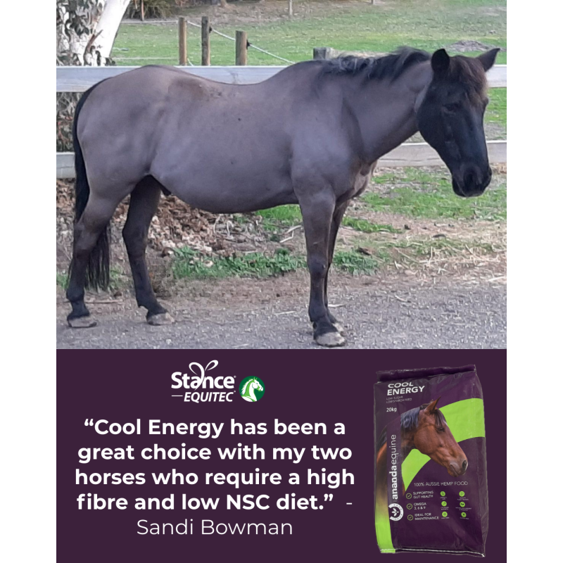 Cool Energy Complete Hemp Feed | Stance Equitec