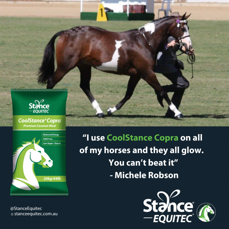 CoolStance Premium Copra Meal | Stance Equitec