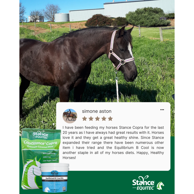 CoolStance Premium Copra Meal | Stance Equitec