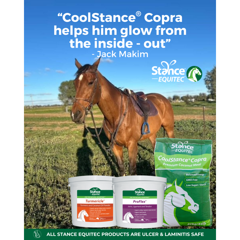 CoolStance Premium Copra Meal | Stance Equitec
