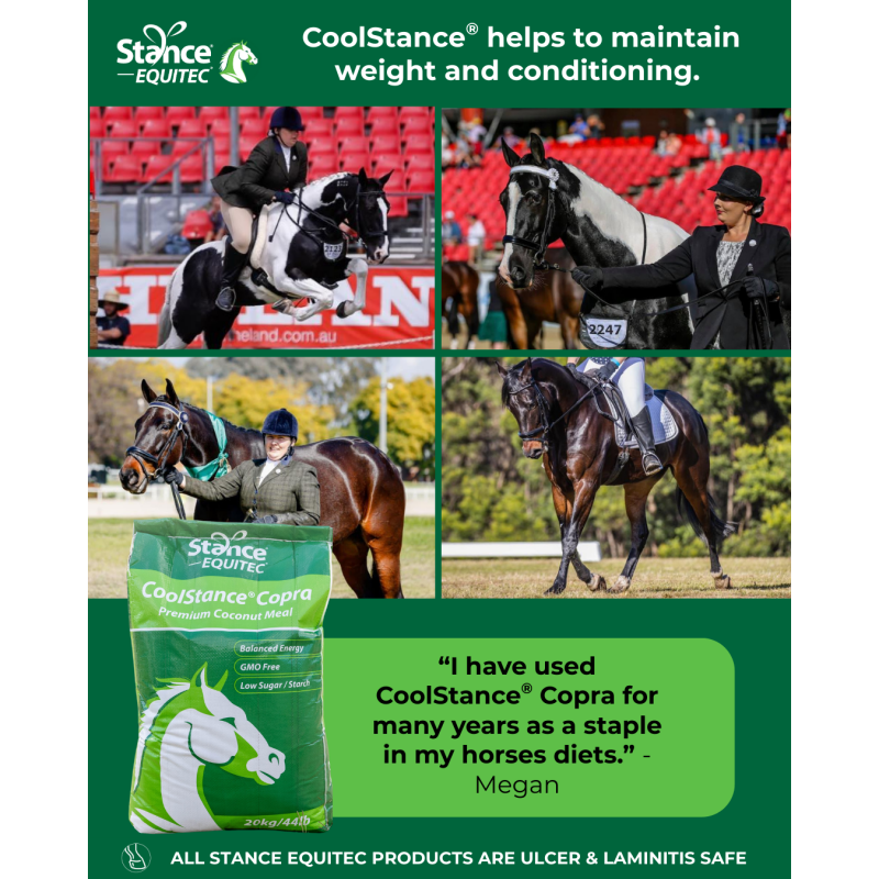 CoolStance Premium Copra Meal | Stance Equitec