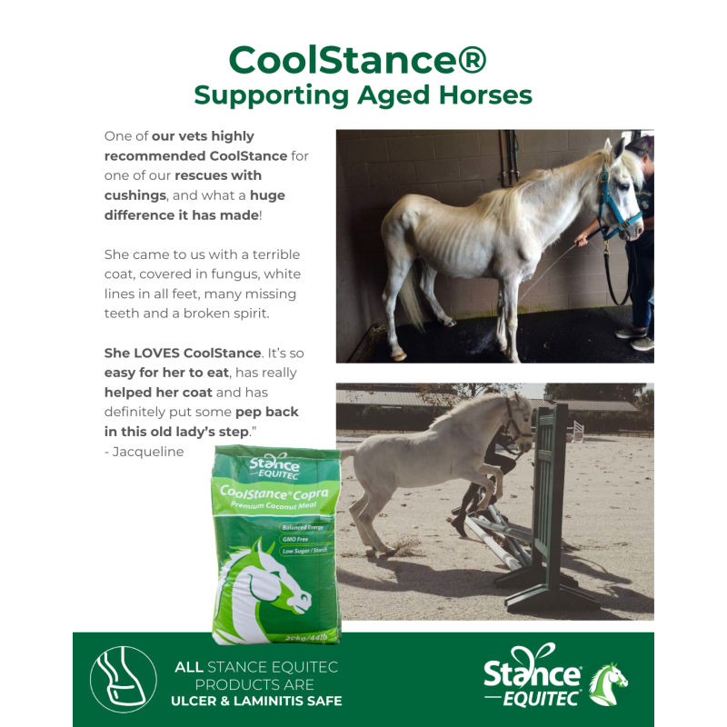 CoolStance Premium Copra Meal | Stance Equitec