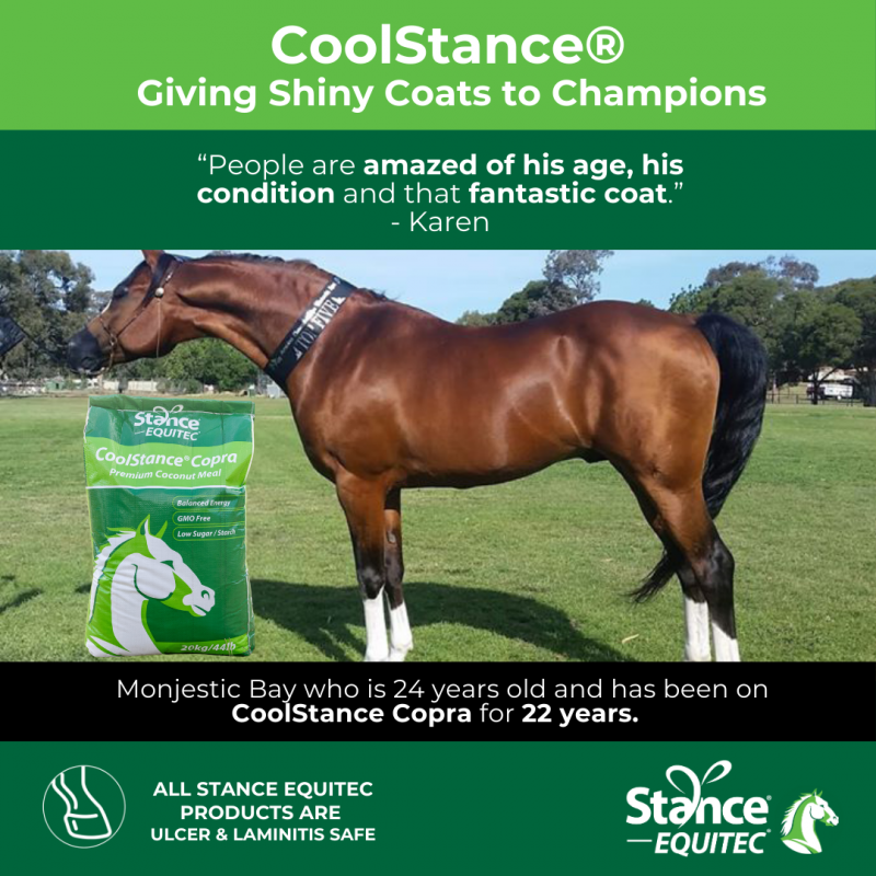 CoolStance Premium Copra Meal | Stance Equitec