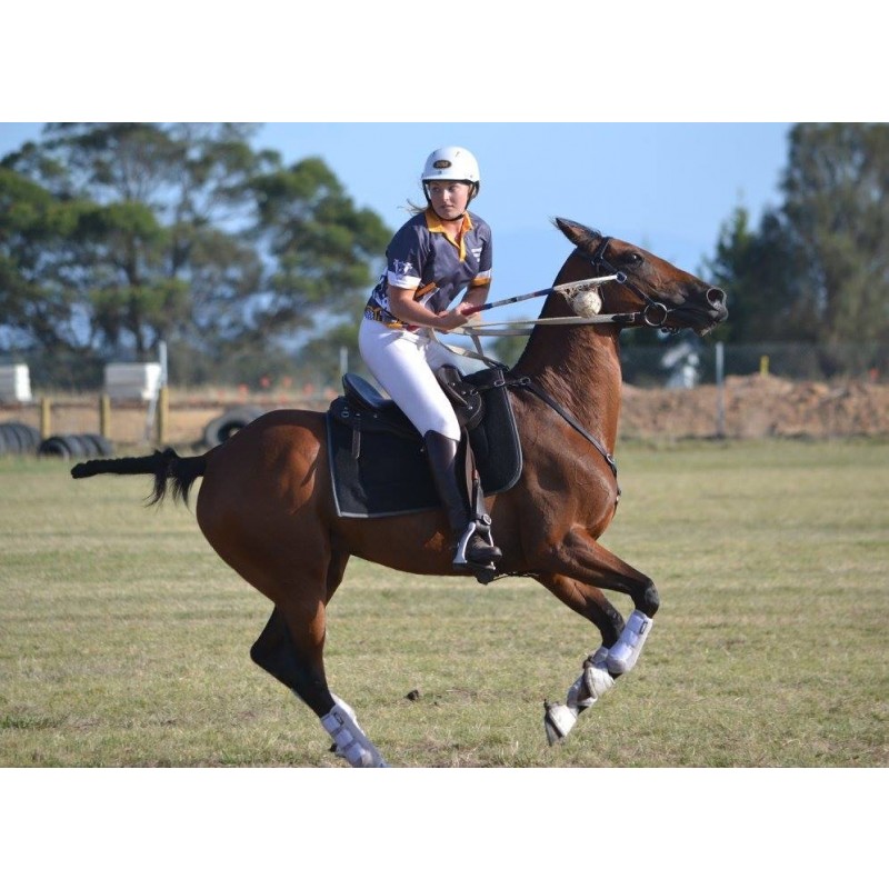 Equilibrium® Mineral Mix | Stance Equitec | Stance Equilibrium