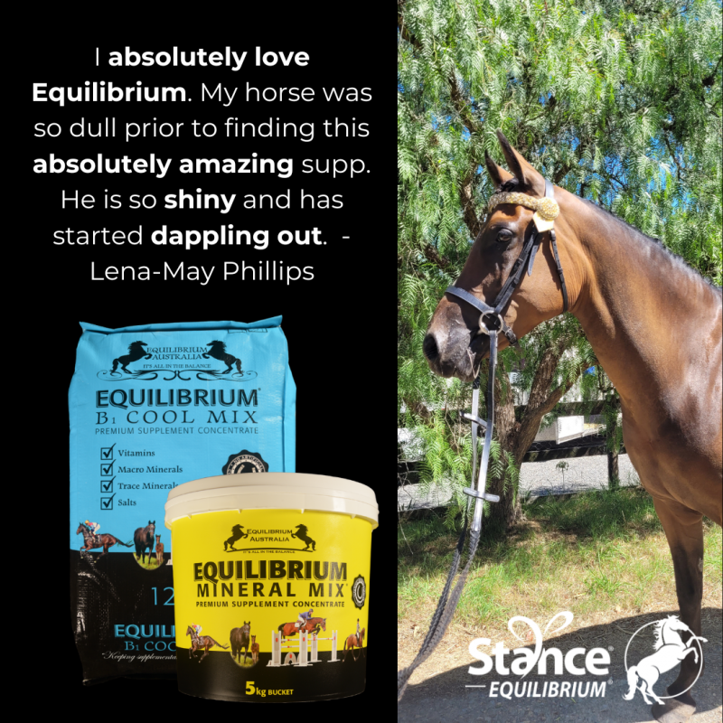 Equilibrium® Mineral Mix | Stance Equitec | Stance Equilibrium