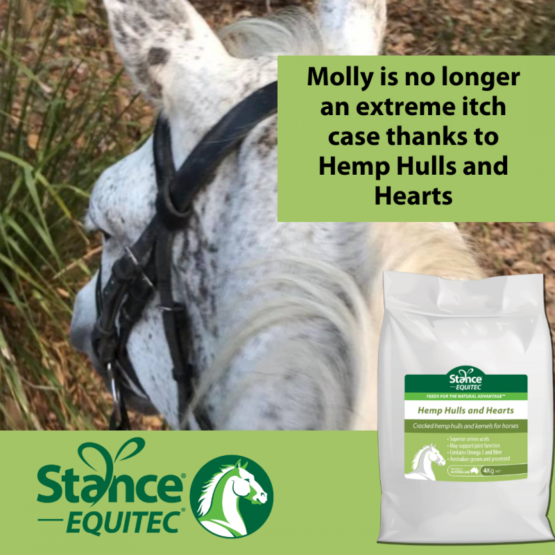 Hemp Hulls and Hearts | Stance Equitec