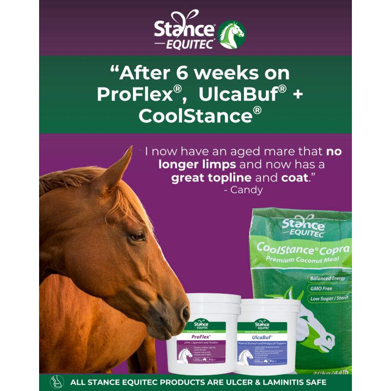 CoolStance Premium Copra Meal | Stance Equitec