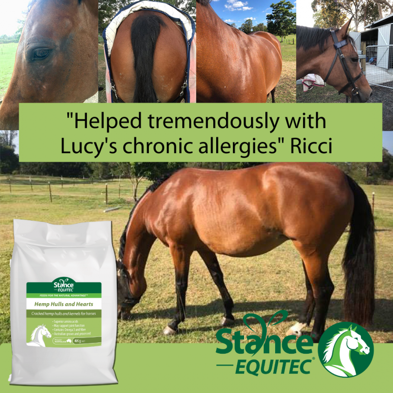 Hemp Hulls and Hearts | Stance Equitec