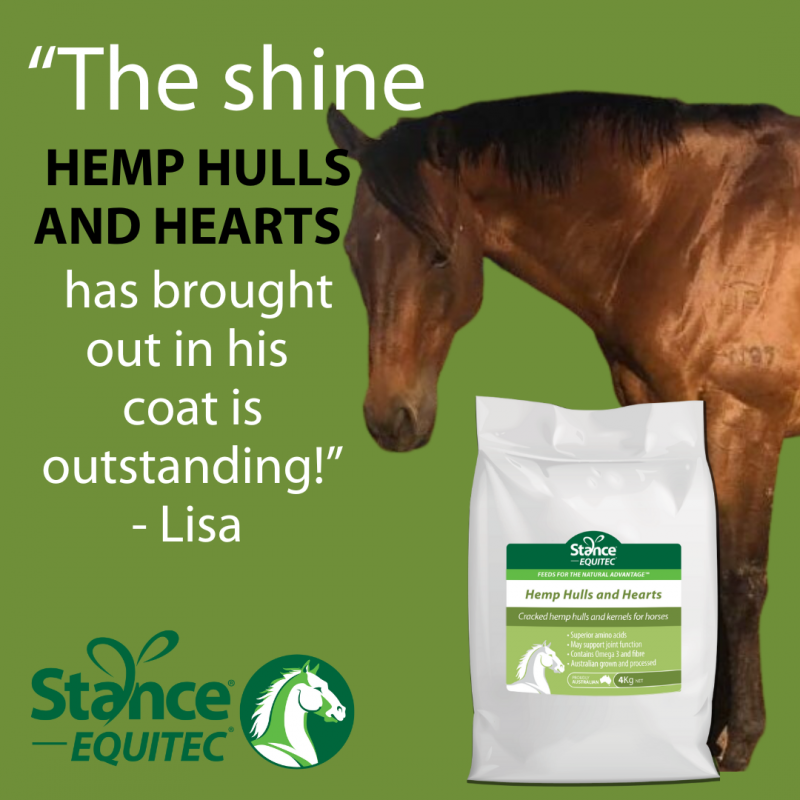 Hemp Hulls and Hearts | Stance Equitec