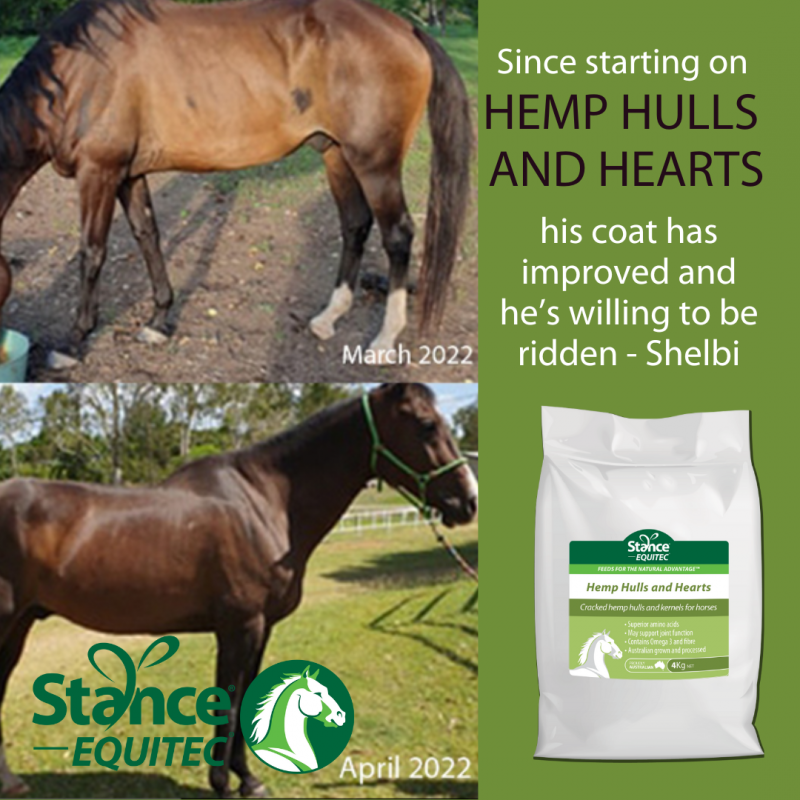 Hemp Hulls and Hearts | Stance Equitec